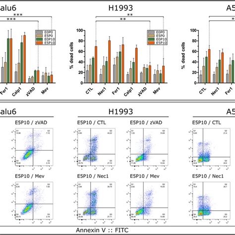 Human Nsclc Cell Lines Harbouring Different Genetic Mutations Examined Download Scientific