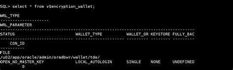 Configuring Transparent Data Encryption In Oracle C Database Oracledbwr