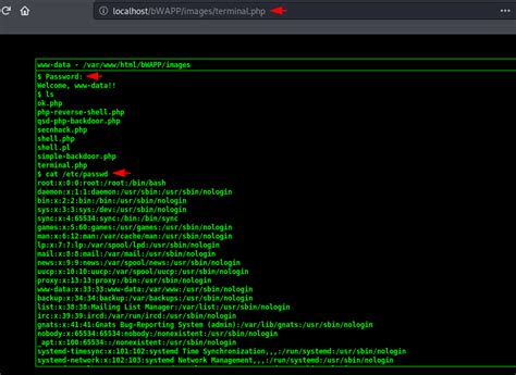 multiple web shells to take unauthorized access secnhack