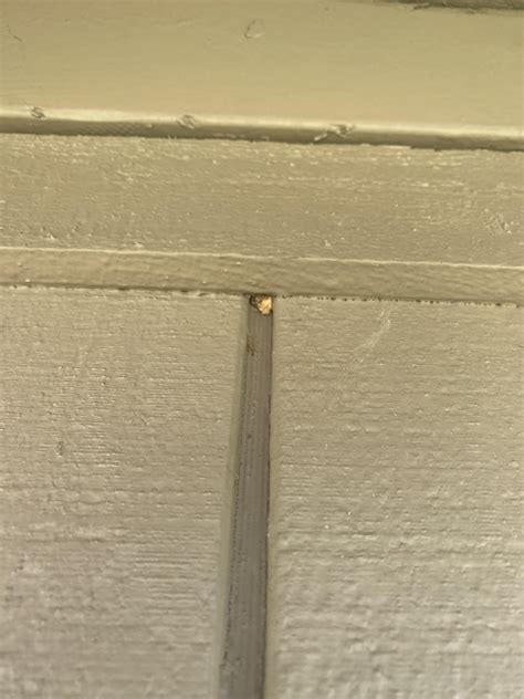 Bug Nests In Between Siding Rwhatsthisbug
