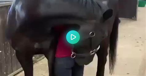 A Mutually Beneficial Relationship Album On Imgur