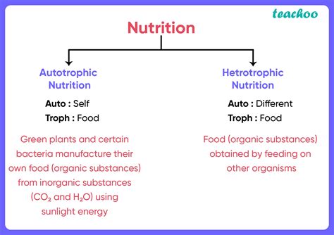 Autotrophic Nutrition