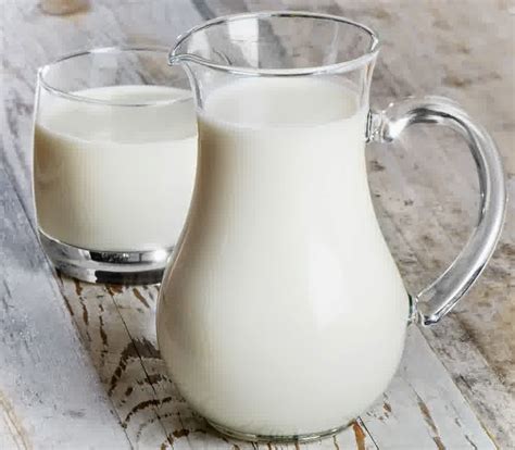 Mengenal Tahapan Tahapan Saat Pemerahan Sapi
