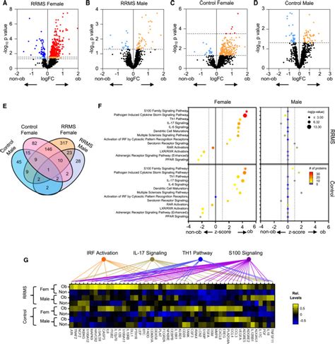 Obesity Intensifies Sex Specific Interferon Signaling To Selectively