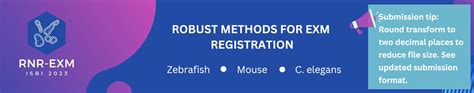 Robust Non Rigid Registration Challenge For Expansion Microscopy