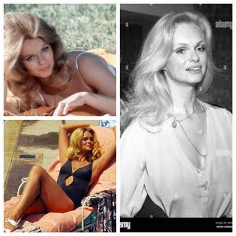 Lynda Day George Beautiful ️‍🔥 Rbabesofthe1970s
