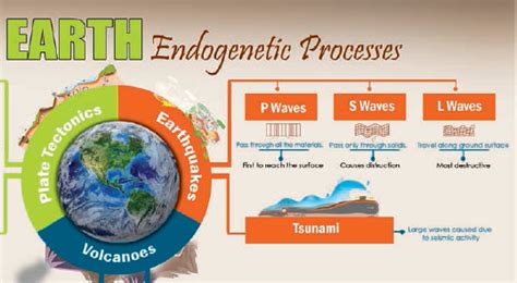 Lithosphere I Endogenetic Processes 9th Social Science Lesson 19