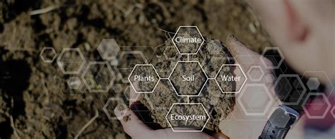 Hobonet Wireless Sensor Network Onsets Hobo And Intemp Data Loggers