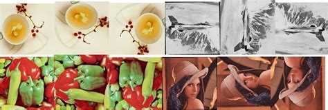 Samples Of Rotation Transformed Images Download Scientific Diagram