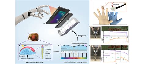 Soft Robotics Orisys