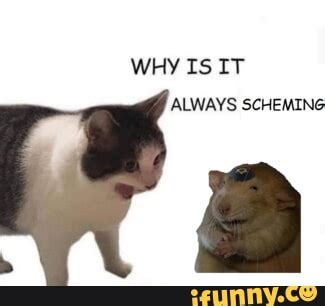 Scheming Memes Best Collection Of Funny Scheming Pictures On Ifunny