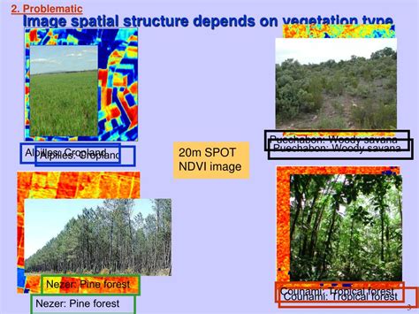 PPT Characterization Of Spatial Heterogeneity For Scaling Non Linear Processes PowerPoint