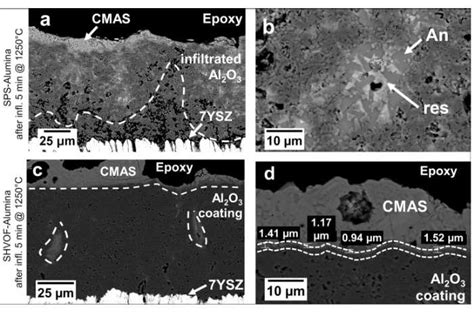 Sem Cross Section Micrographs At Two Different Magnifications Of The