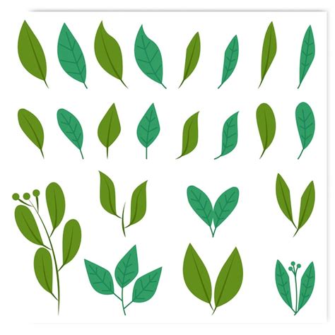 Premium Vector Leaf Flat Design Collection