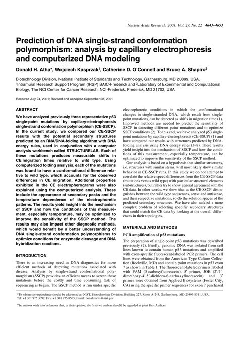 Pdf Prediction Of Dna Single Strand Conformation Polymorphism Analysis By Capillary