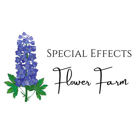 Cinderella Delphinium