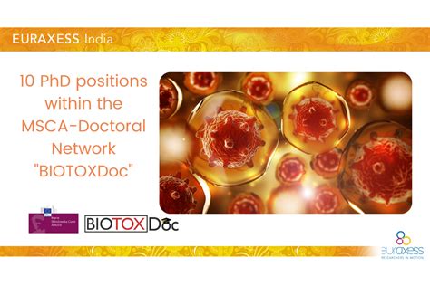 europe 10 phd positions within the msca doctoral network biotoxdoc
