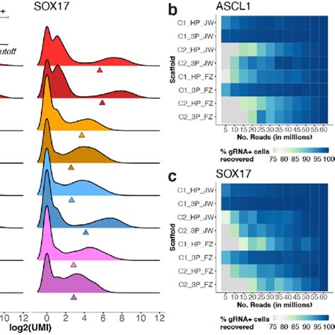 Identification Of The Optimal Grna Scaffold For Single Cell Download Scientific Diagram