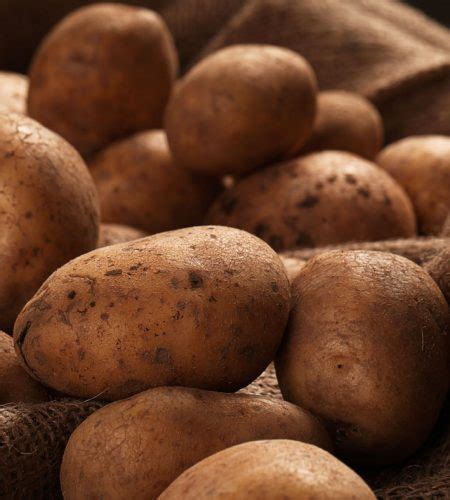 Opg Josip Špoljar Spajalica