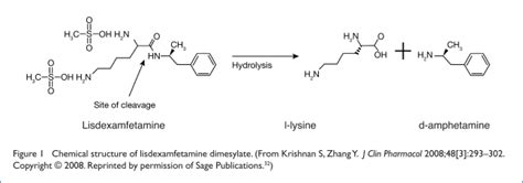 Lisdexamfetamine Dimesylate Vyvanse A Prodrug Stimulant For
