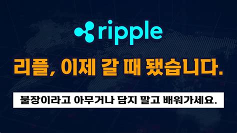 리플 이제 갈 때 됐습니다 불장이라고 아무거나 담지 말고 배워가세요 Youtube