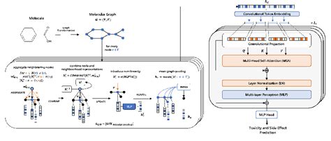 Figure 1 From Convolutional Transformer Via Graph Embeddings For Few Shot Toxicity And Side