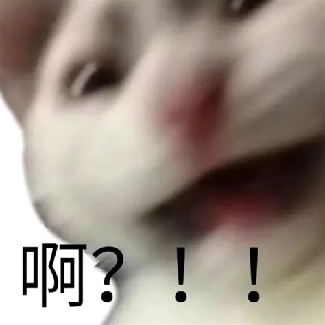 啊 表情包 高清图片，堆糖，美图壁纸兴趣社区