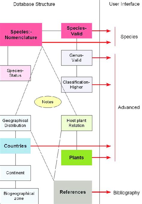 Scheme Of The Database Showing The Structure Of The Data In Relation To Download Scientific