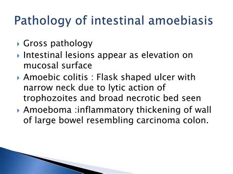 Amoebiasis Pathogenesis And Pathology Pptx