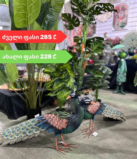 საწყობი ბიბი Home