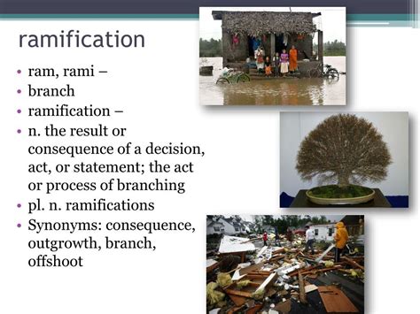 Ppt Latin Vocabulary Roots Anathema Florid Portfolio Homage