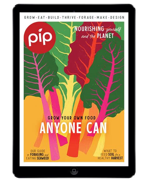 Issue 29 Flipbook Pip Magazine