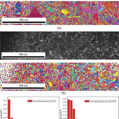 Grain Distribution Of The Weld Cross Section A Tig Grain Morphology