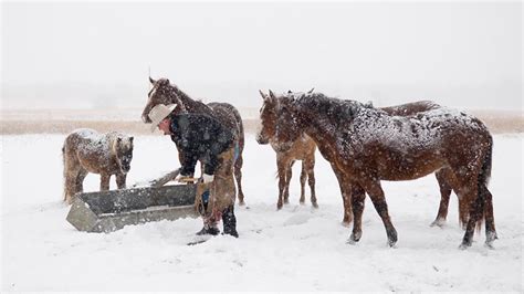 Winter Ranching Flint Hills Ranch Heritage