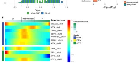 Scrnaseq And Pseudo Temporal Ordering Of β Cells Show That Loss Of