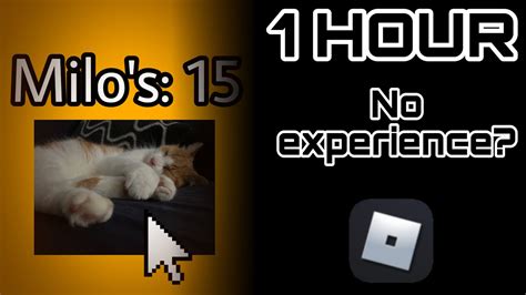 1 Hour To Make A Website In Roblox With No Experience Roblox Catweb