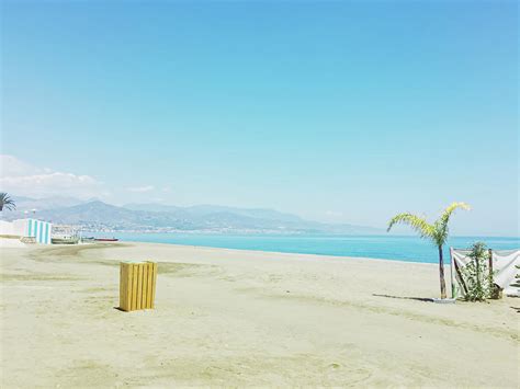 Tropical Palm Trees On The Beach Summer Nature And Travel Photograph