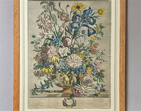 Robert Ferber February 12 Month Of Flowers Botanical Lithograph Print Vintage Framed Floral