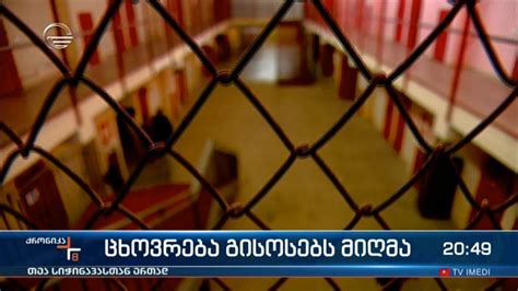 ცხოვრება გისოსებს მიღმა Youtube