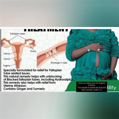 Blocked Fallopian Tube Fallopian Tubes Are Female Reproductive