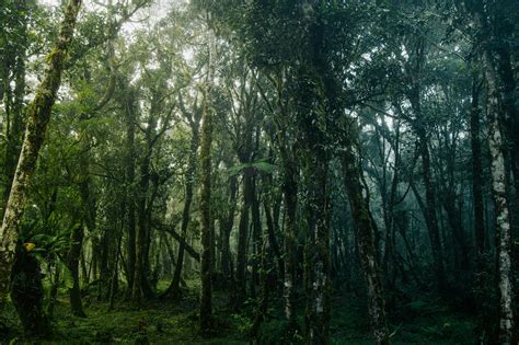 Roblox Account Hacker Spy Wizards Blog