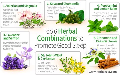 Top 6 Herbal Combinations To Promote Good Sleep Herbazest