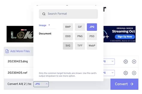 Best Bulk Image Converter Program For Windows And Mac Also Online Itselectable