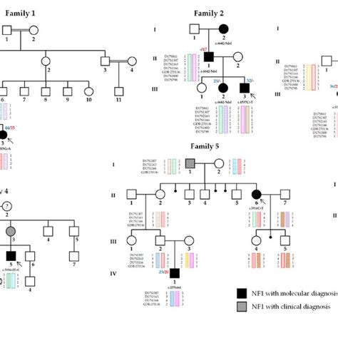 Variants Features And Classification According To The Acmg Amp Guidelines Download Scientific