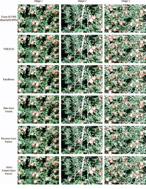 figure 1 from real time fruit detection method based on rgb d image
