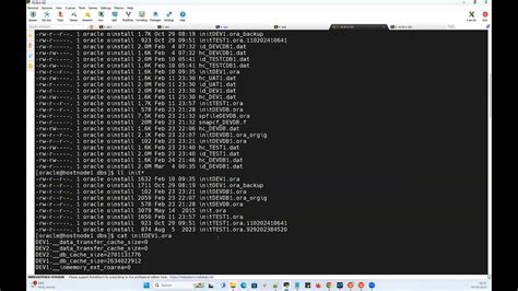 spfile missing create spfile from pfile rac youtube