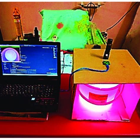 The Experimental Design To Set Up The Shrimp Counting System Download Scientific Diagram