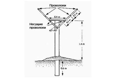 What To Make A Trellis For Raspberries With Your Own Hands And How To Tie A Bush Healthy Food