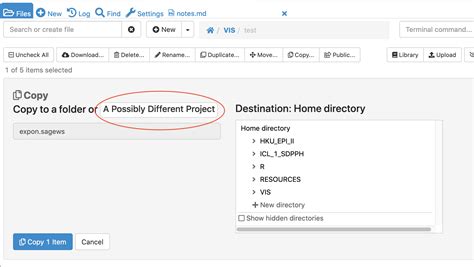 Project Files — Cocalc Manual Documentation