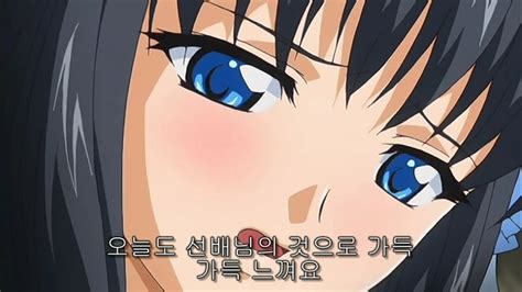 야애니 그로프 2화 어둠 속의 작은 새들 네이버 블로그